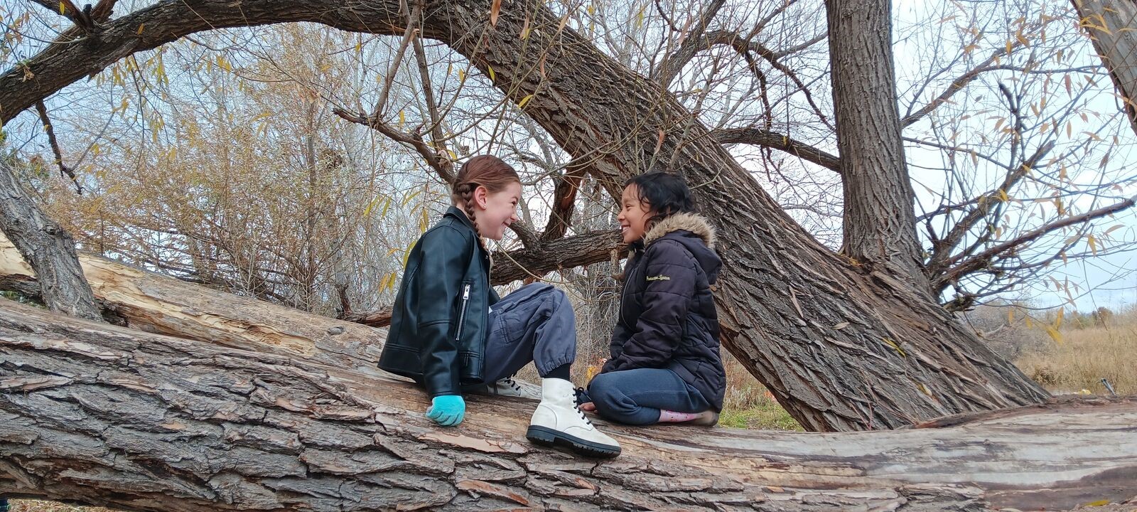 Homeschool Enrichment - Mountain Sage Community School